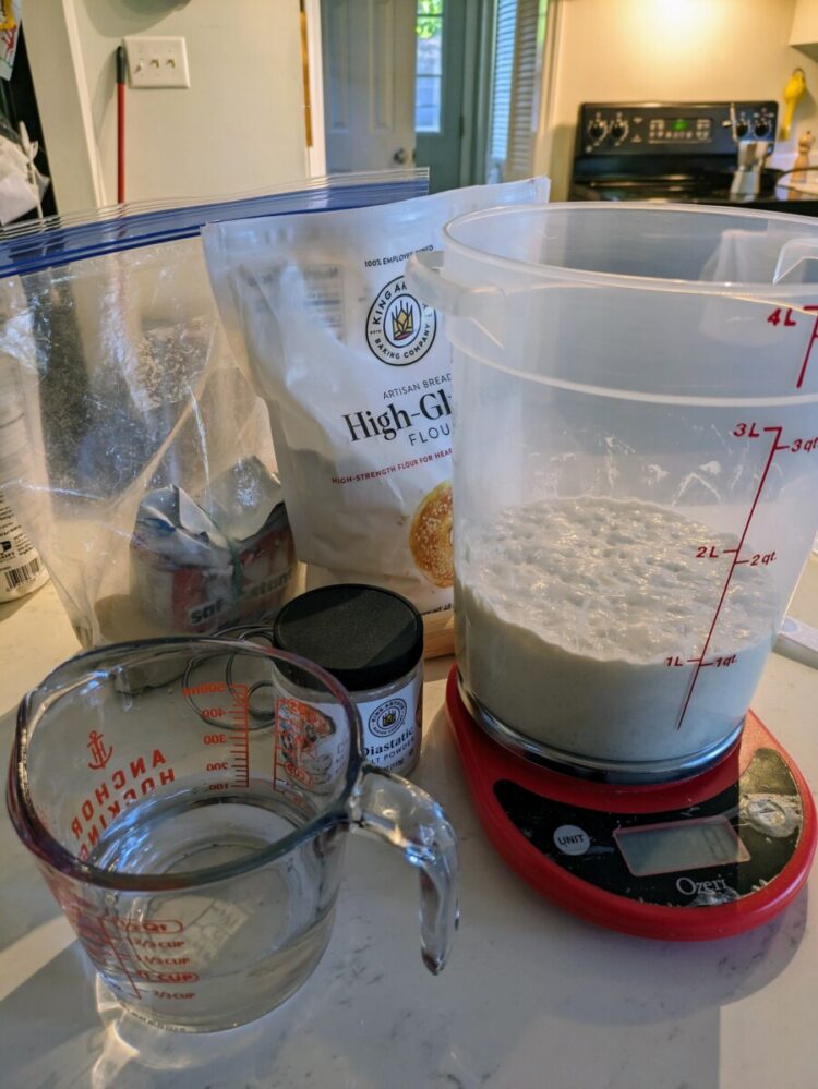 Let’s Make Bagels! (But we’re not in New York! Do we dare?) - Sofrito ...